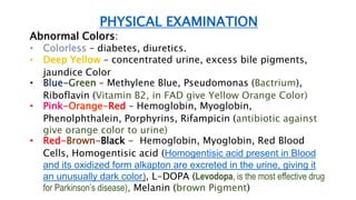 Urine Analysis and Urine Culture.pptx