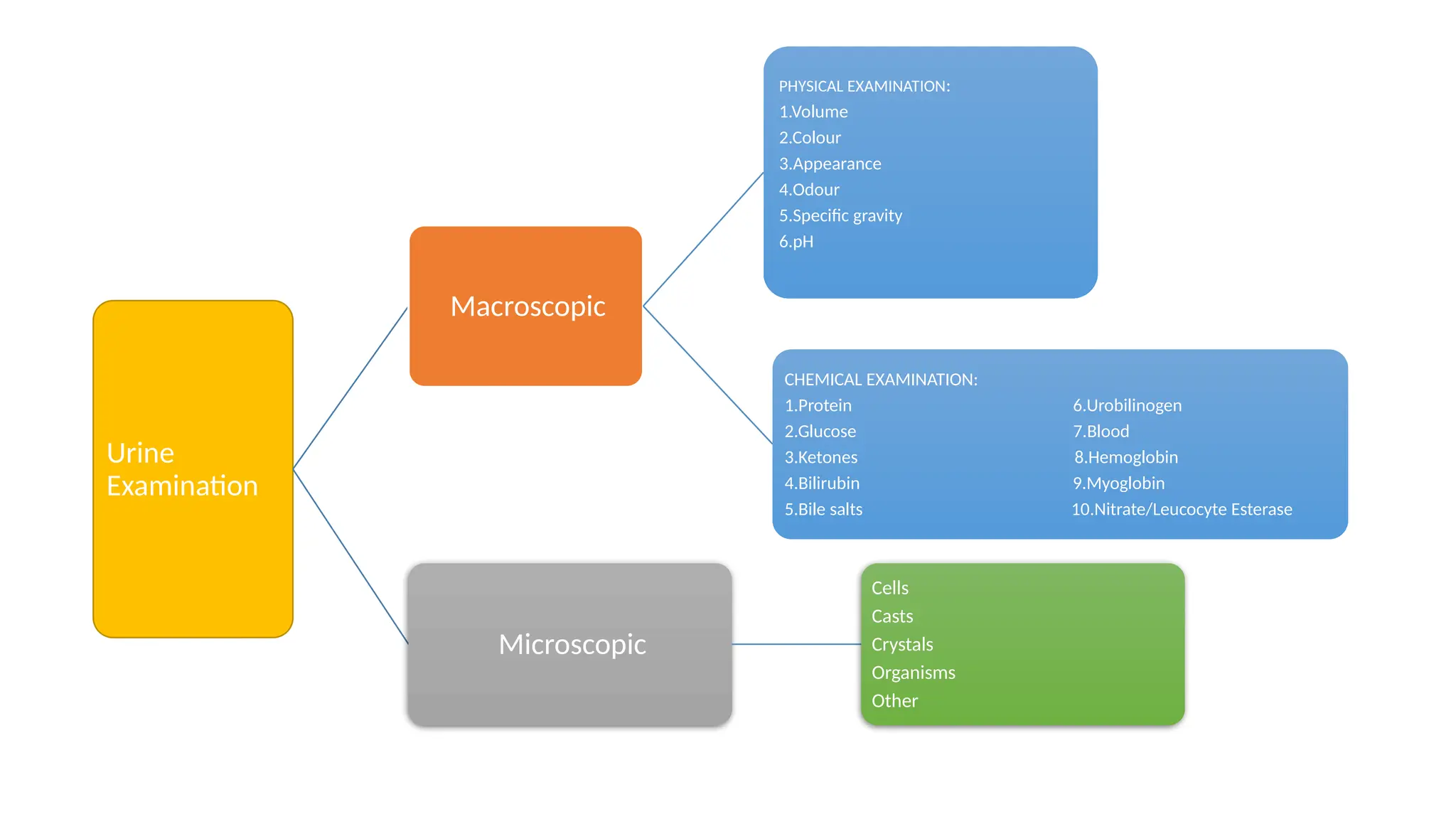 URINE Analysis with normal structure of nephron and physical ...