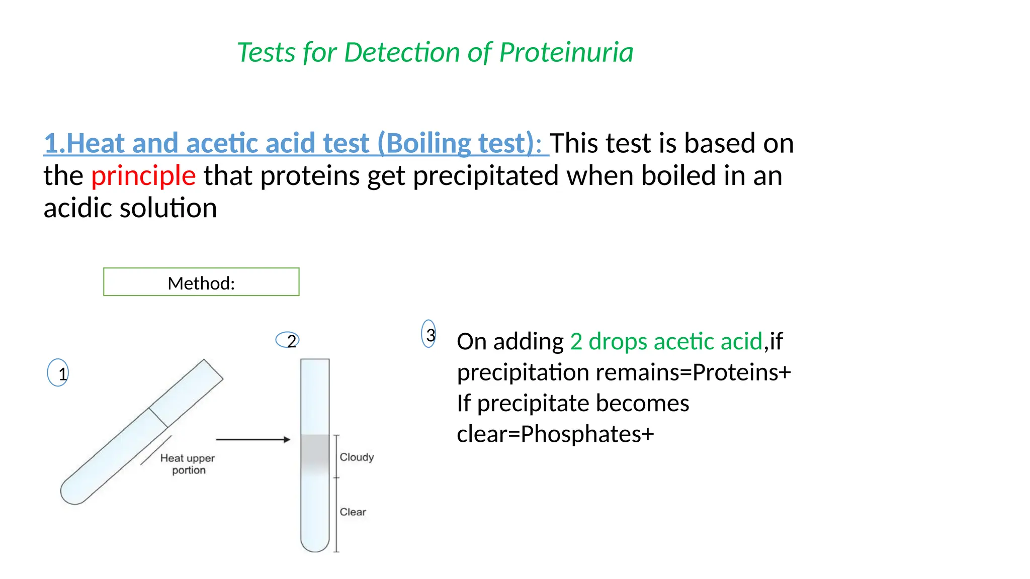 URINE Analysis with normal structure of nephron and physical ...