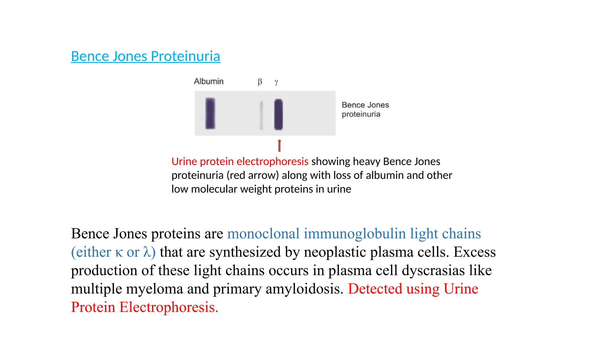 URINE Analysis with normal structure of nephron and physical ...