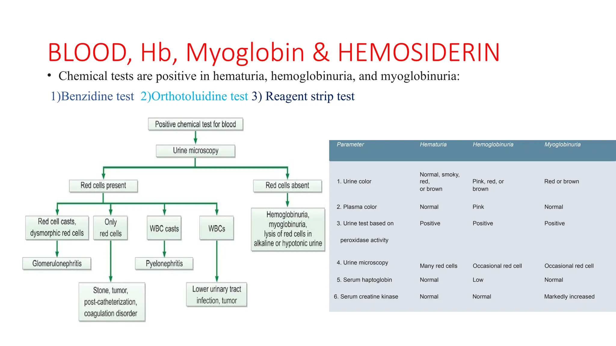 URINE Analysis with normal structure of nephron and physical ...