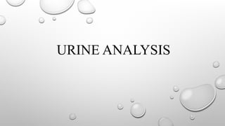 URINE Analysis with normal structure of nephron and physical ...