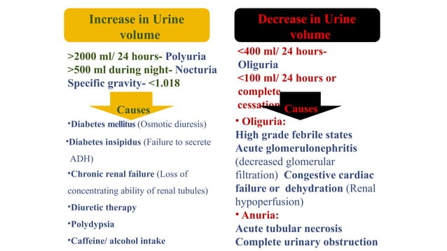 URINE Analysis with normal structure of nephron and physical ...