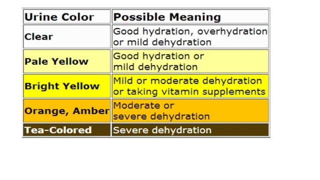 URINE Analysis with normal structure of nephron and physical ...