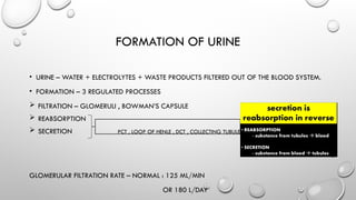 URINE Analysis with normal structure of nephron and physical ...