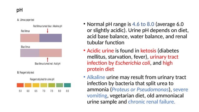 URINE Analysis with normal structure of nephron and physical ...
