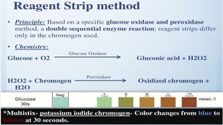 URINE Analysis with normal structure of nephron and physical ...