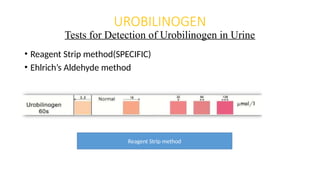 URINE Analysis with normal structure of nephron and physical ...
