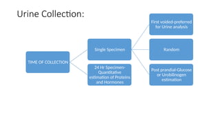 URINE Analysis with normal structure of nephron and physical ...