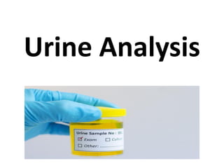 Urine Analysis.pdf....................... | PDF