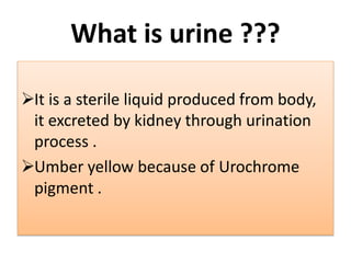 Urine Analysis.pdf....................... | PDF