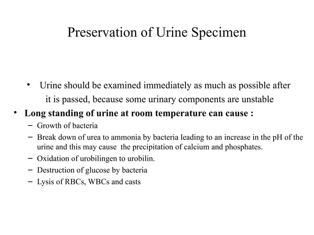 urinary analysis and test. $$&ppt bbbbbn | PPT