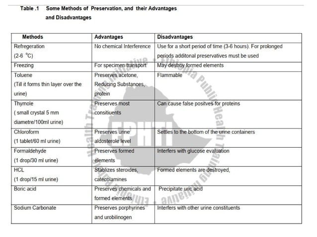 urinary analysis and test. $$&ppt bbbbbn | PPT