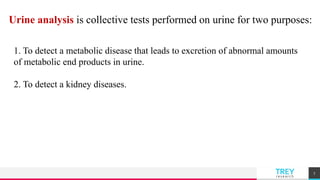 Urine analysis (physical, chemical and microscopic examination of urine ...