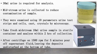 urine analysis.pptx