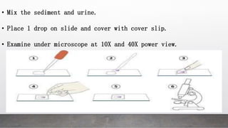 urine analysis.pptx
