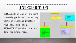 urine analysis.pptx