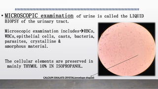 urine analysis.pptx