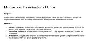 Urine analysis-lecture 2.pptx and biochemistry | PPTX