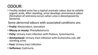 Urine analysis physical | PPT