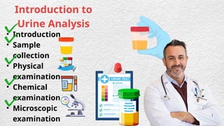 Comprehensive Introduction to Urine Analysis | PPTX