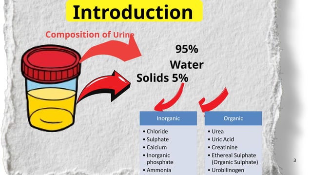 Comprehensive Introduction to Urine Analysis | PPTX
