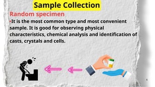 Comprehensive Introduction to Urine Analysis | PPTX