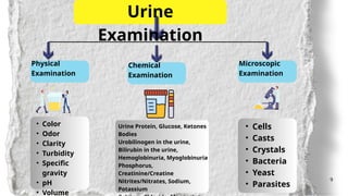 Comprehensive Introduction to Urine Analysis | PPTX