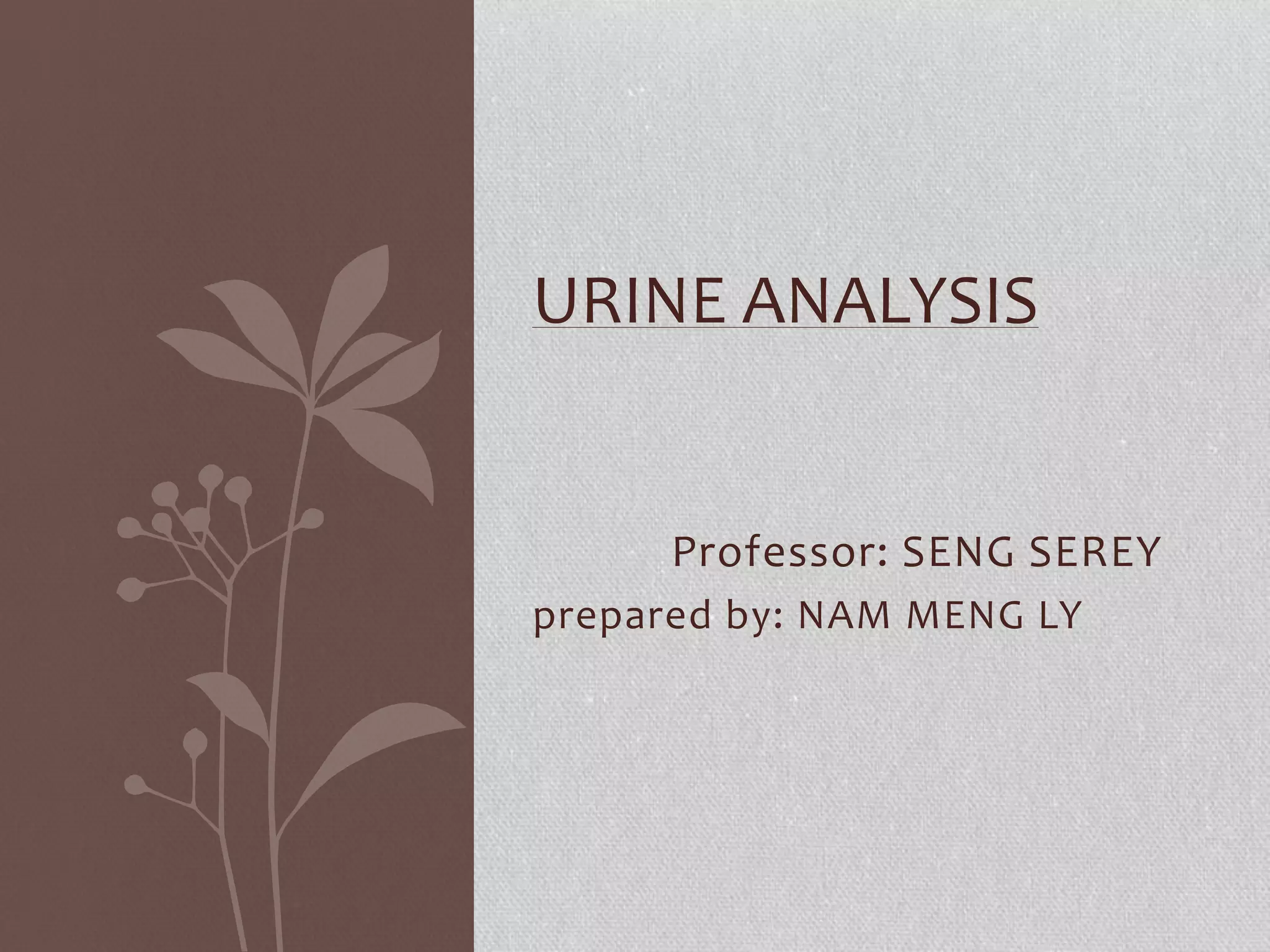 Urine analysis.ppt | PPTX