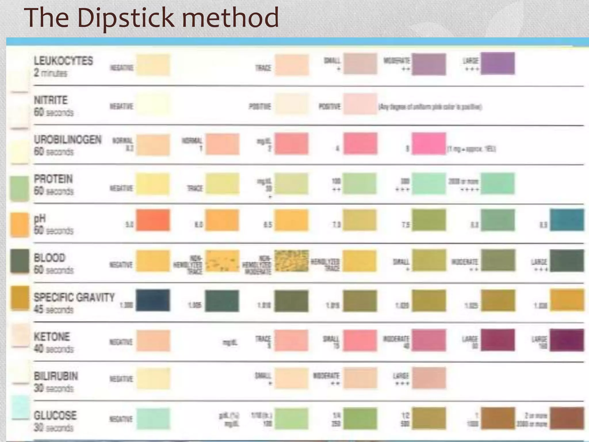 Urine analysis.ppt | PPTX