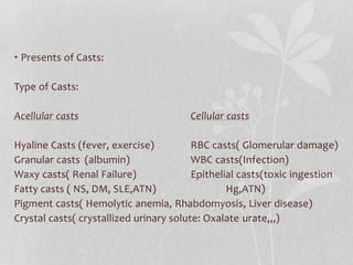 Urine analysis.ppt | PPTX