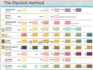 Urine analysis.ppt | PPTX