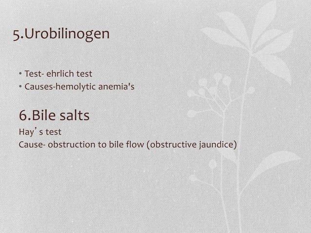 Urine analysis.ppt | PPTX