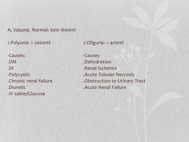 Urine analysis.ppt | PPTX