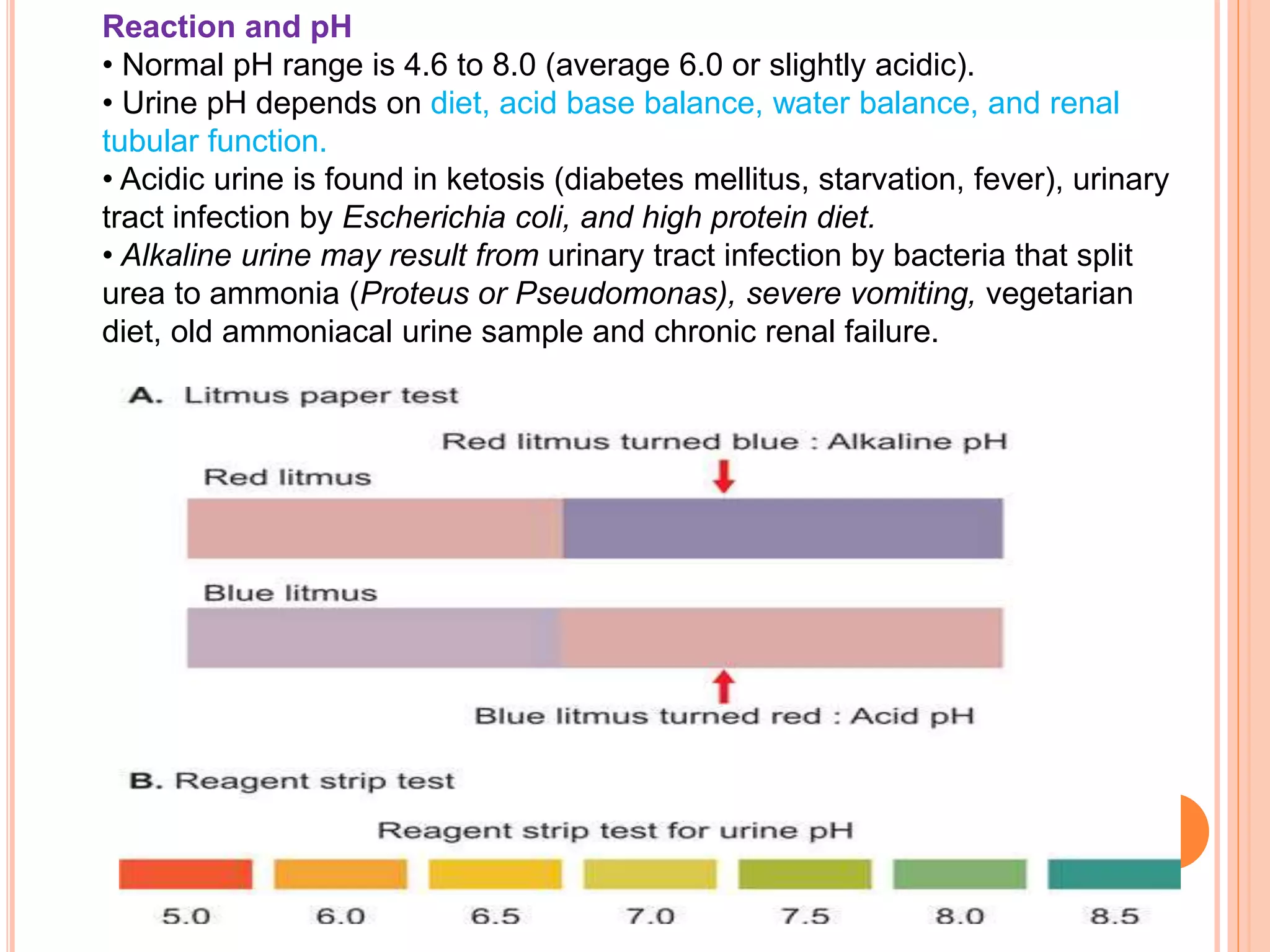 Urine analysis | PPTX