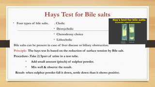 urine analysis pathology ppt. by Arshita Gupta | PPTX