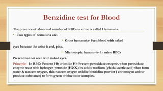 urine analysis pathology ppt. by Arshita Gupta | PPTX