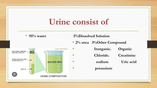 urine analysis pathology ppt. by Arshita Gupta | PPTX
