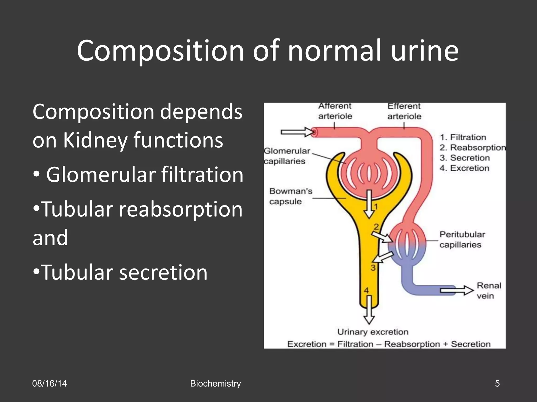 Urine analysis practical | PPTX