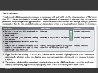 Urine analysis practical | PPTX