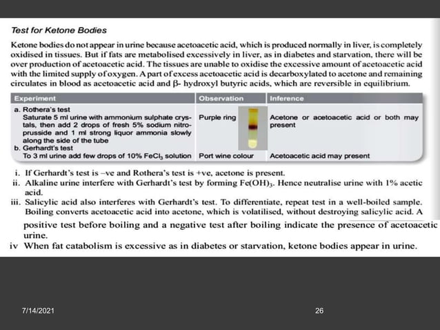 Urine analysis practical | PPTX