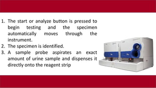 URINE AND BF AUTOMATION.pptx
