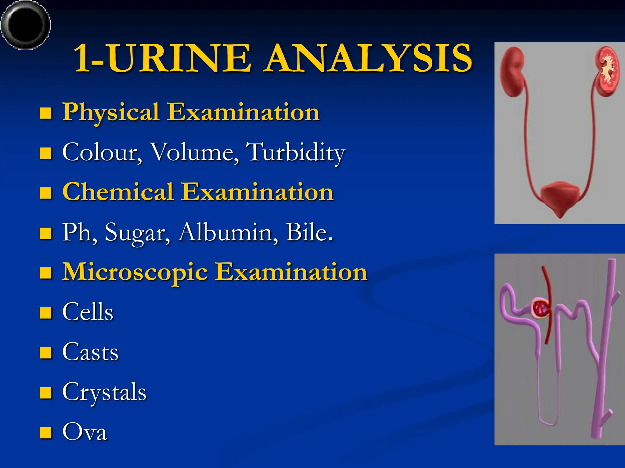 Urine and Stool analysis.ppt urine and stool analysis | PPT