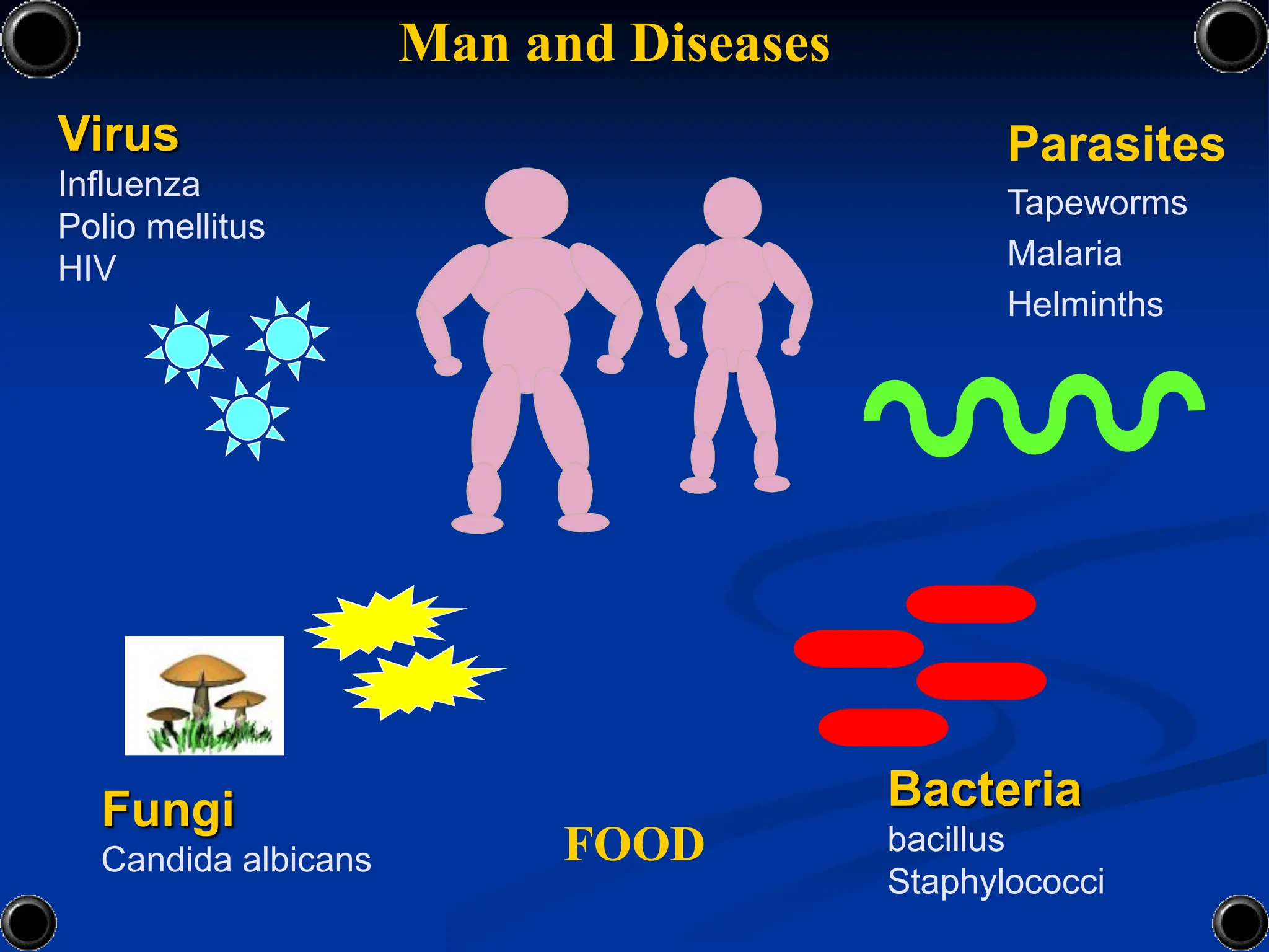 Urine and Stool analysis.ppt urine and stool analysis | PPT