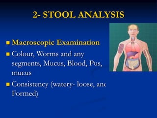 Urine and Stool analysis.ppt urine and stool analysis | PPT