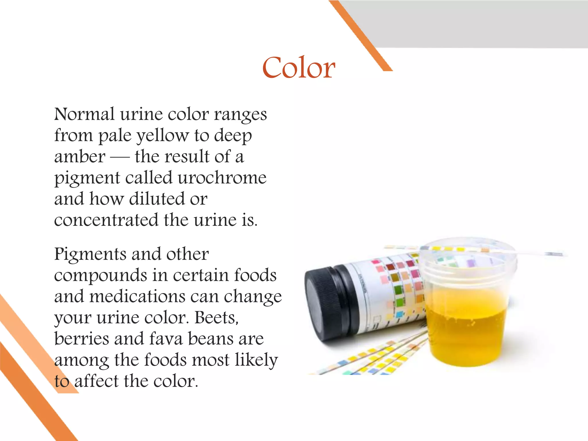 Urine and urinalysis | PPTX | Chemistry | Science