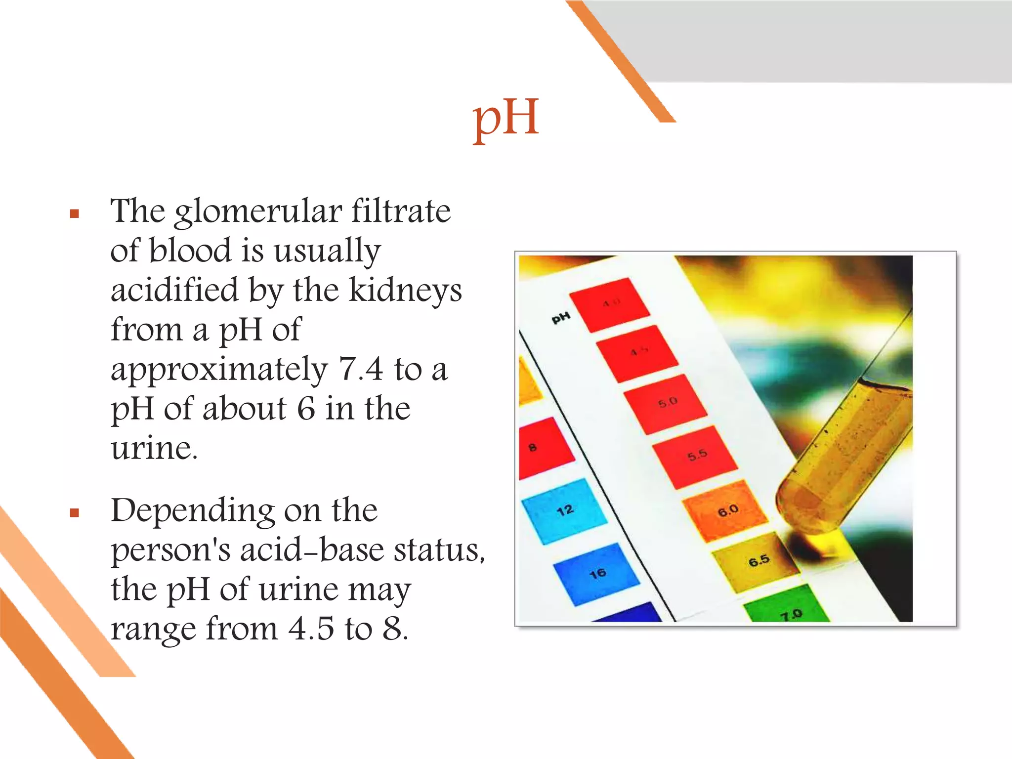 Urine and urinalysis | PPTX