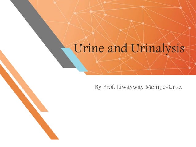 Urine and urinalysis | PPTX | Chemistry | Science