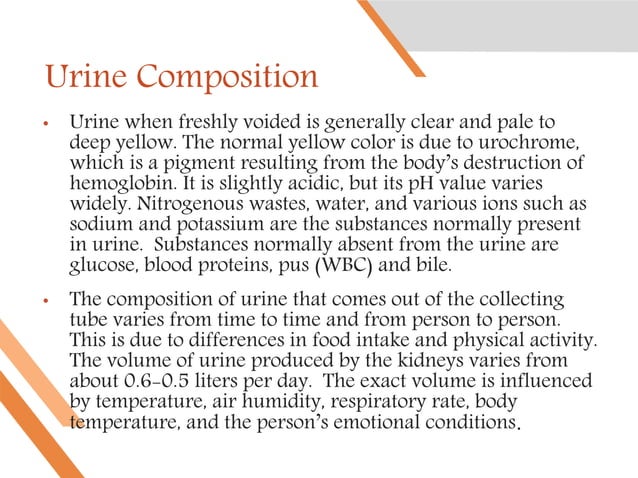Urine and urinalysis | PPTX | Chemistry | Science