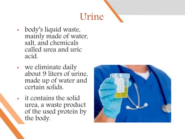 Urine and urinalysis | PPTX | Chemistry | Science